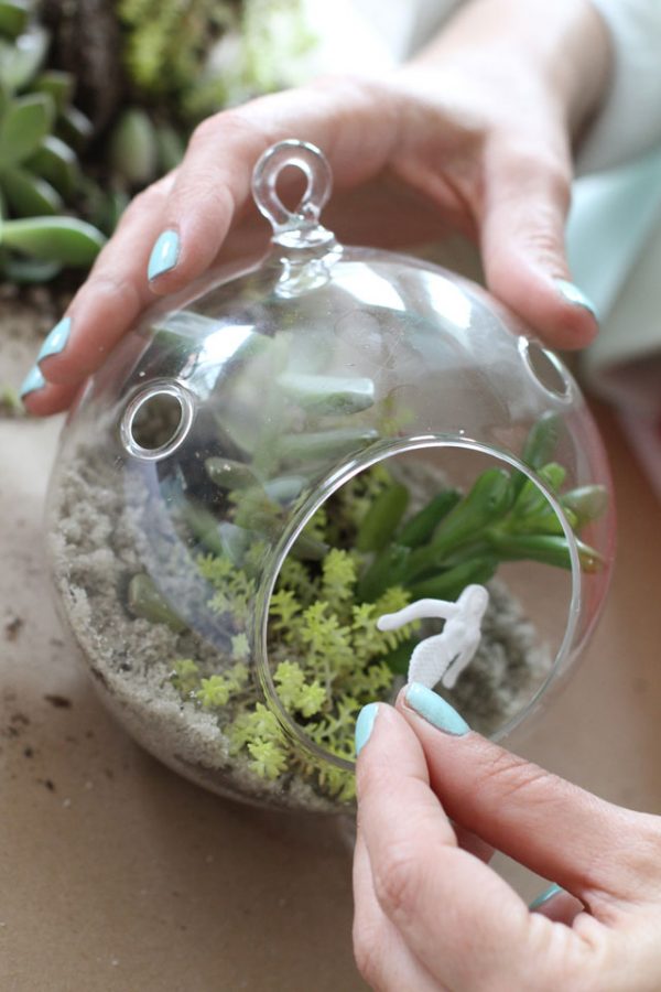 How To Make A Succulent Sea Terrarium - Making it Lovely